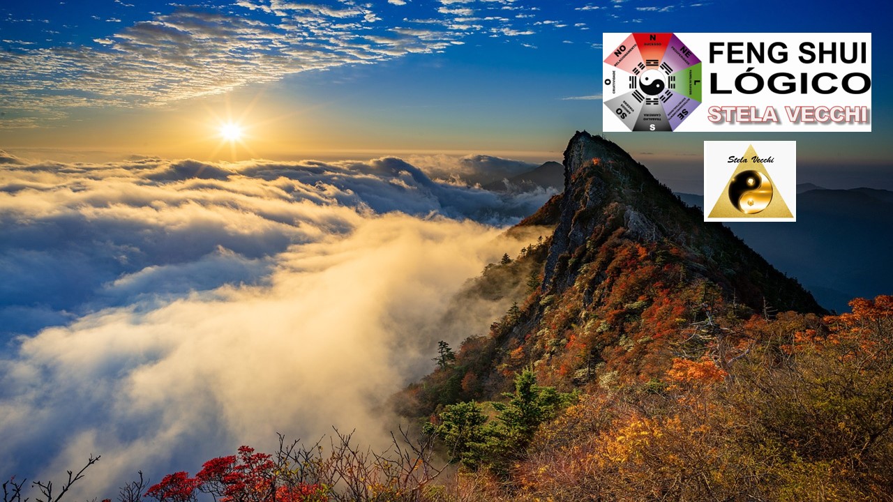 Um dos grandes pecados que tivemos foi ‘masculinizar’ a Igreja. Papa ...